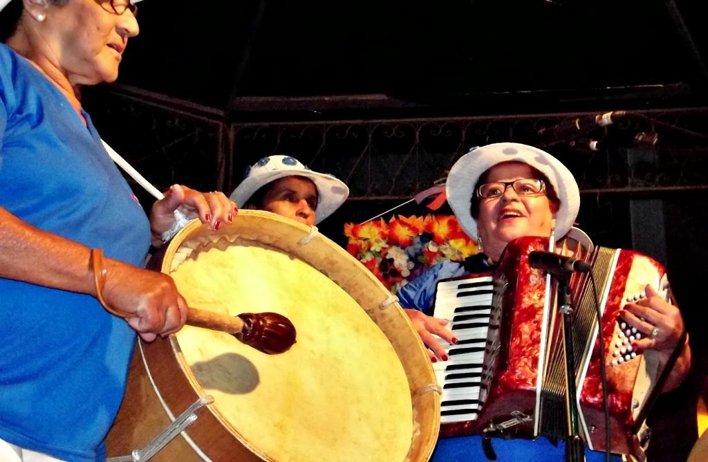 Lilia na sanfona comanda afolia das mulheres | Diocese de São João del Rei